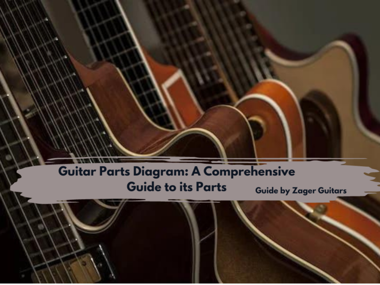 Guitar Parts: a Guide for Acoustic & Electric Guitars