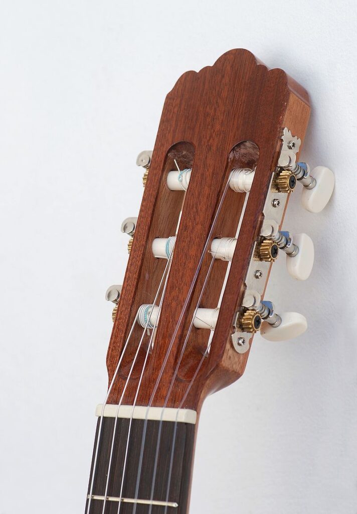 Guitar Parts: a Guide for Acoustic & Electric Guitars