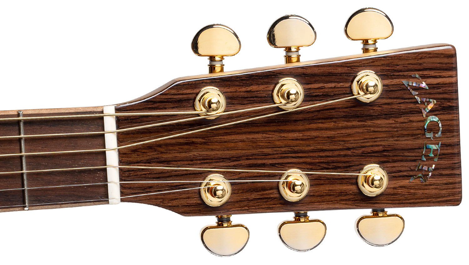 Guitar Parts: a Guide for Acoustic & Electric Guitars